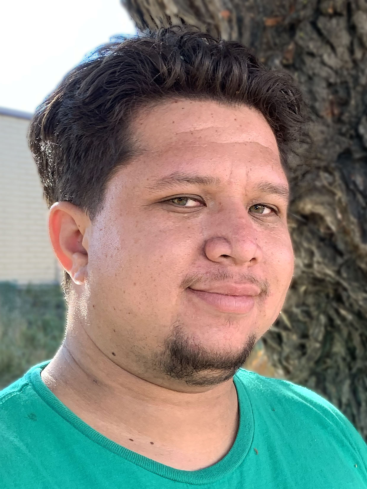 Meet the Team – Peninsula Tree Care, Inc.